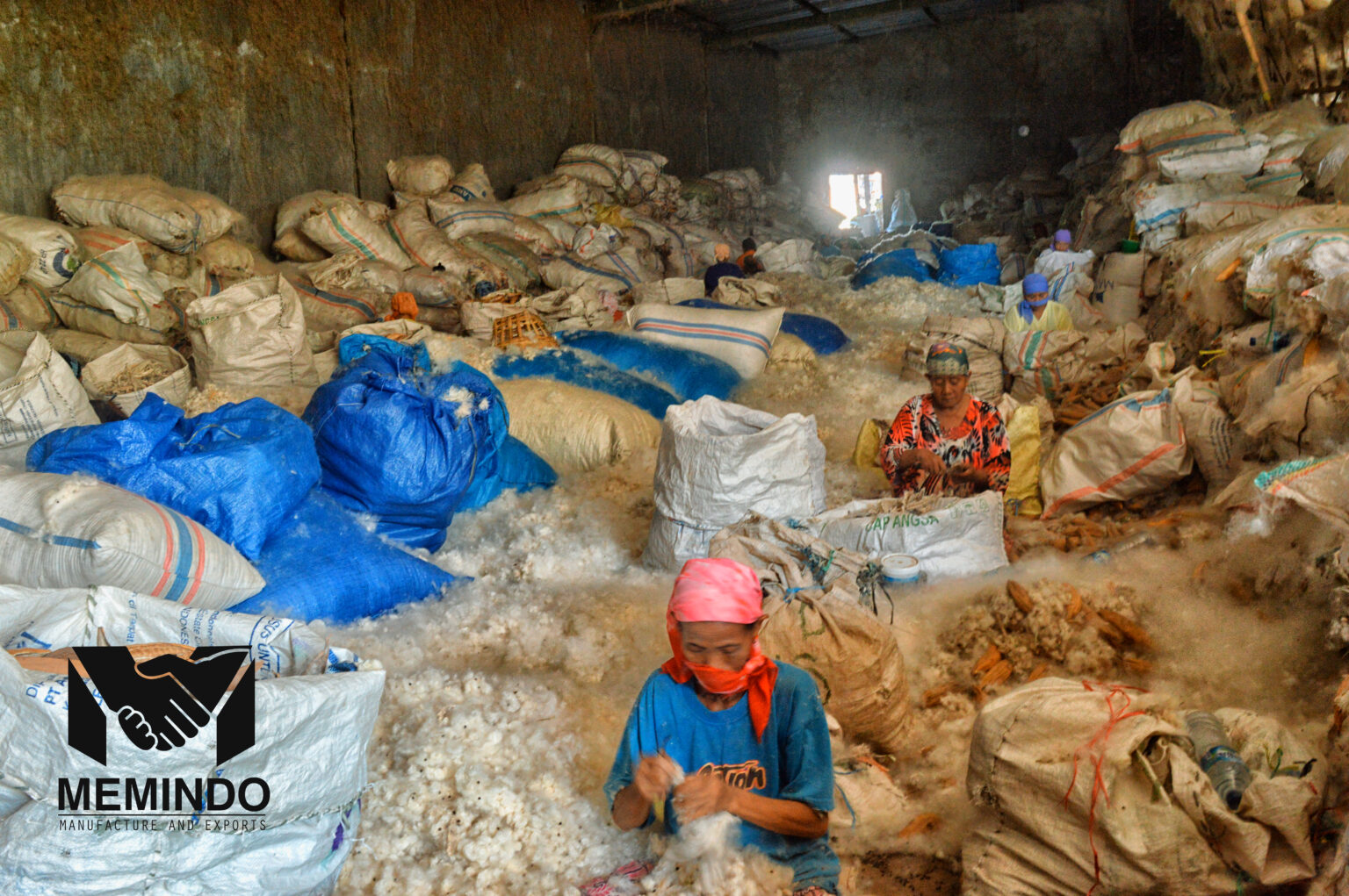 Kapok: A Sustainable Natural Fiber and How to Cultivate It