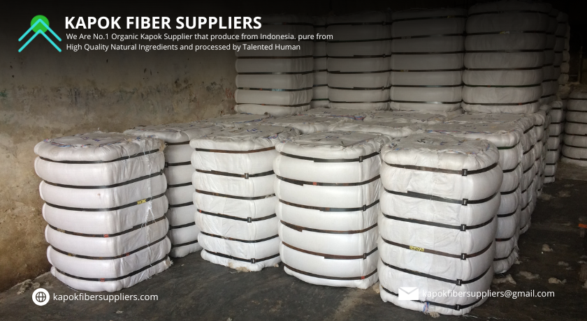 Kapok Natural Fiber Organic | Organic Kapok Fiber | Wholesale Kapok Eco ...