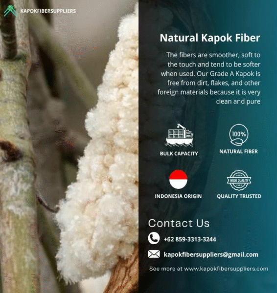 Kapok Fiber: The Natural, Sustainable Material